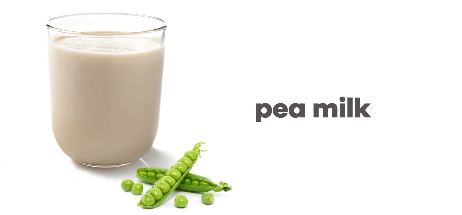 Milk Substitutes: The Complete Guide to Plant-Based Milks | Snap Kitchen