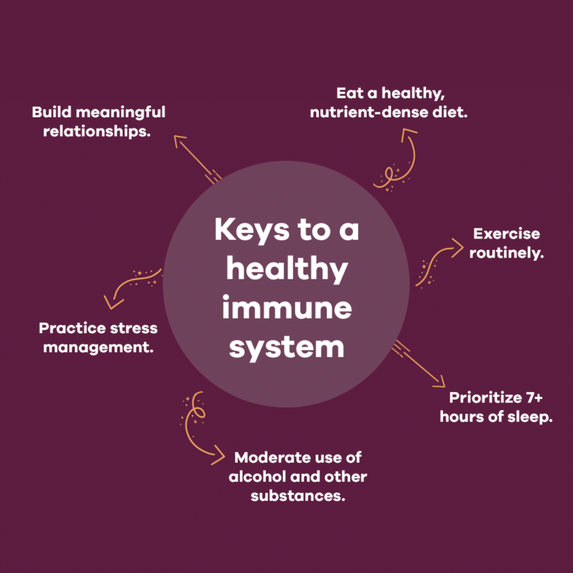 How to Support Your Immune System | Snap Kitchen